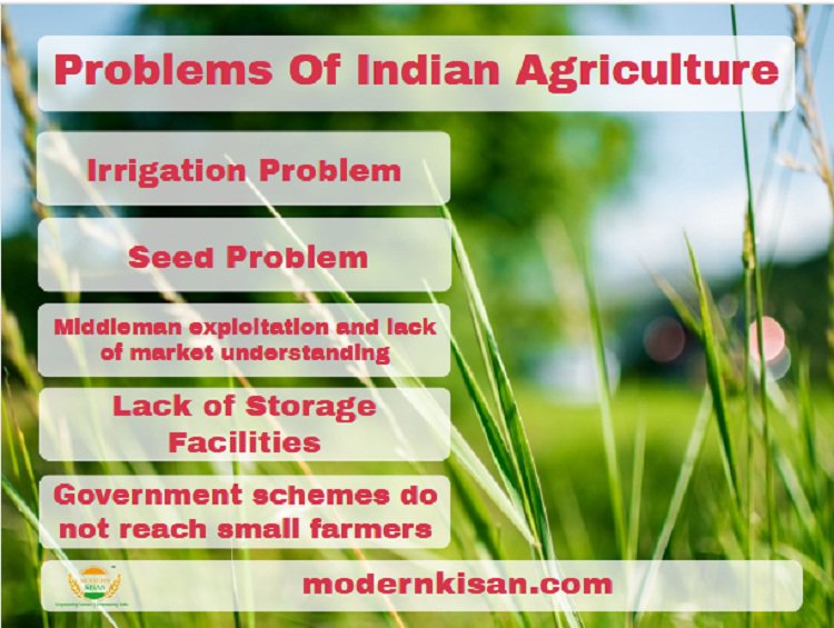 What Are The Common Problems In Agriculture