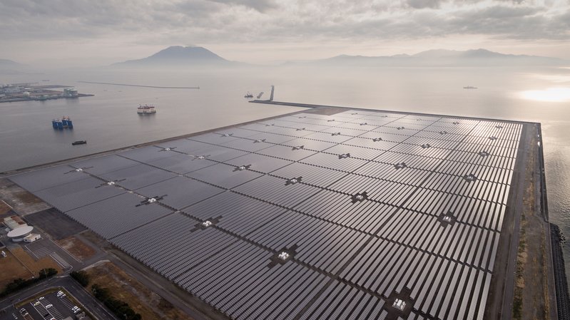 Amazing! Solar panels might soon be designed like insect eyes. Check ...