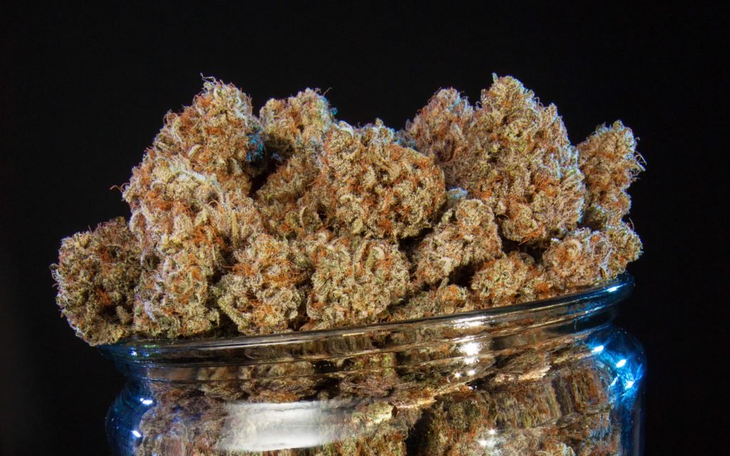 Blunt Codes (@bluntcodes) | Twitter