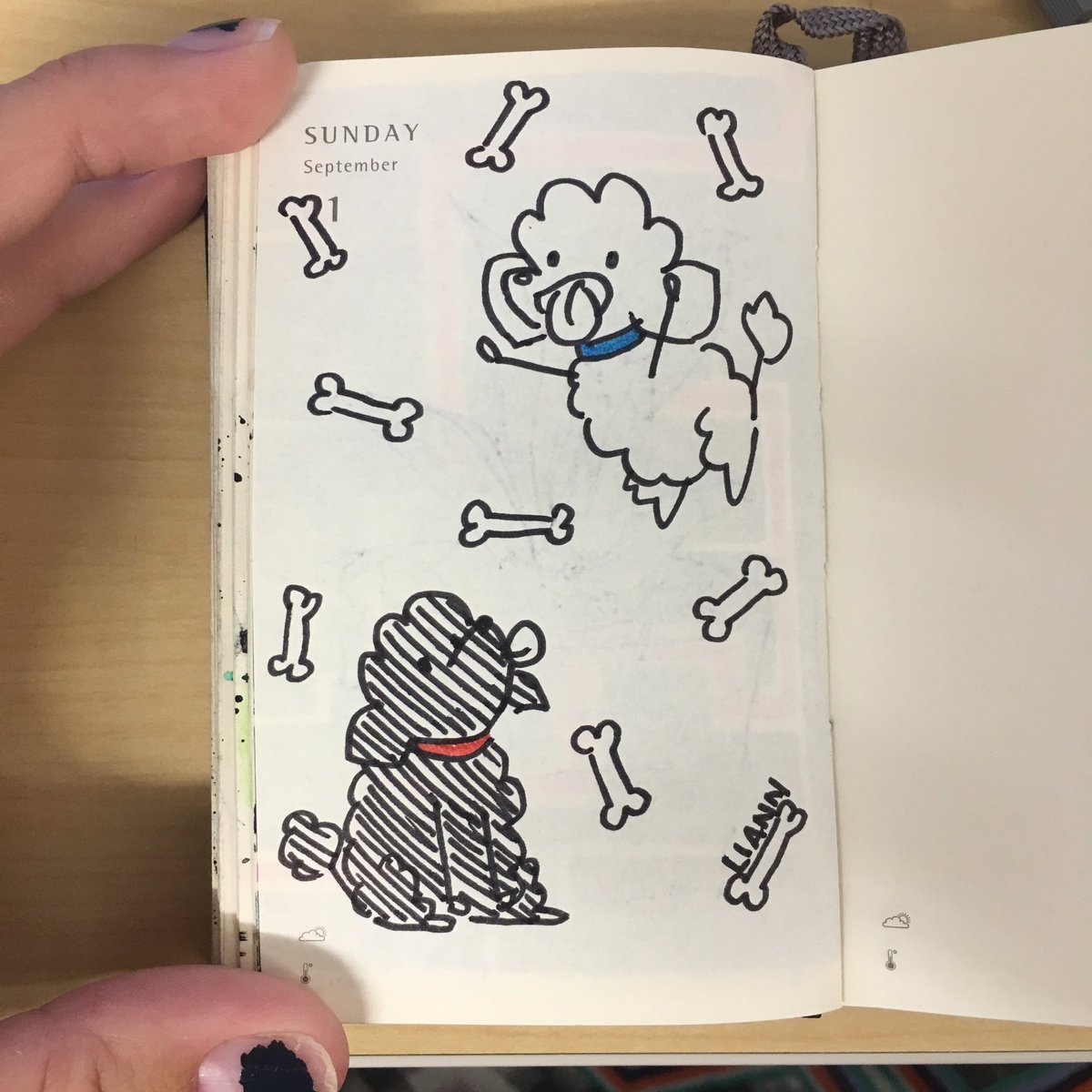 ダンデ「Train delays = doodle times ft the dnd s」Liannの漫画