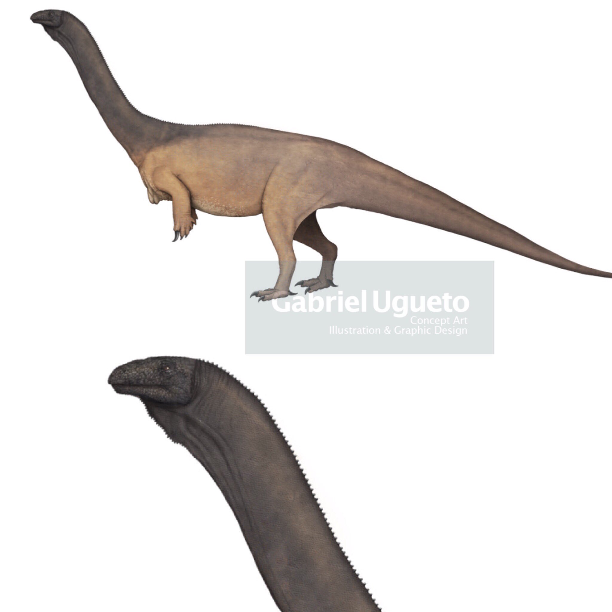Lufengosaurus