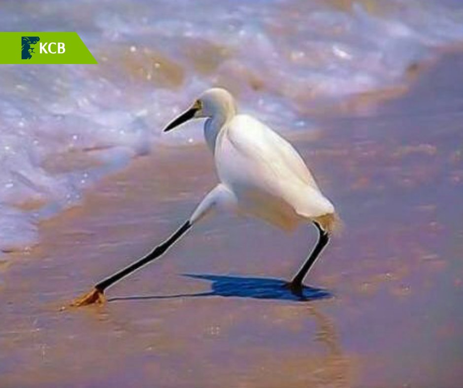 Brian Mutai (@brian_mutai) | Twitter