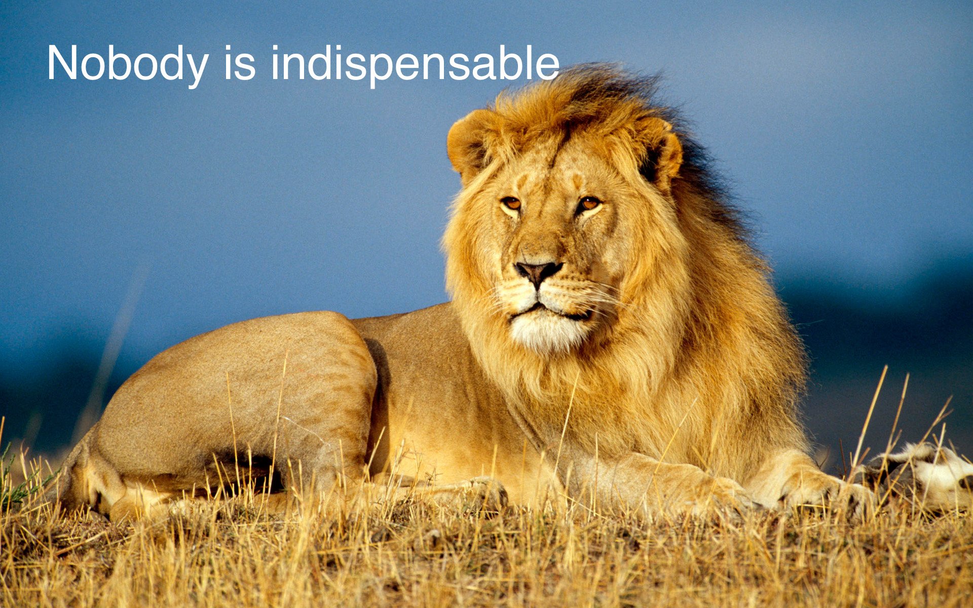 Nobody Is Indispensable Quotes Woodrow Wilson Quote: “There Is No