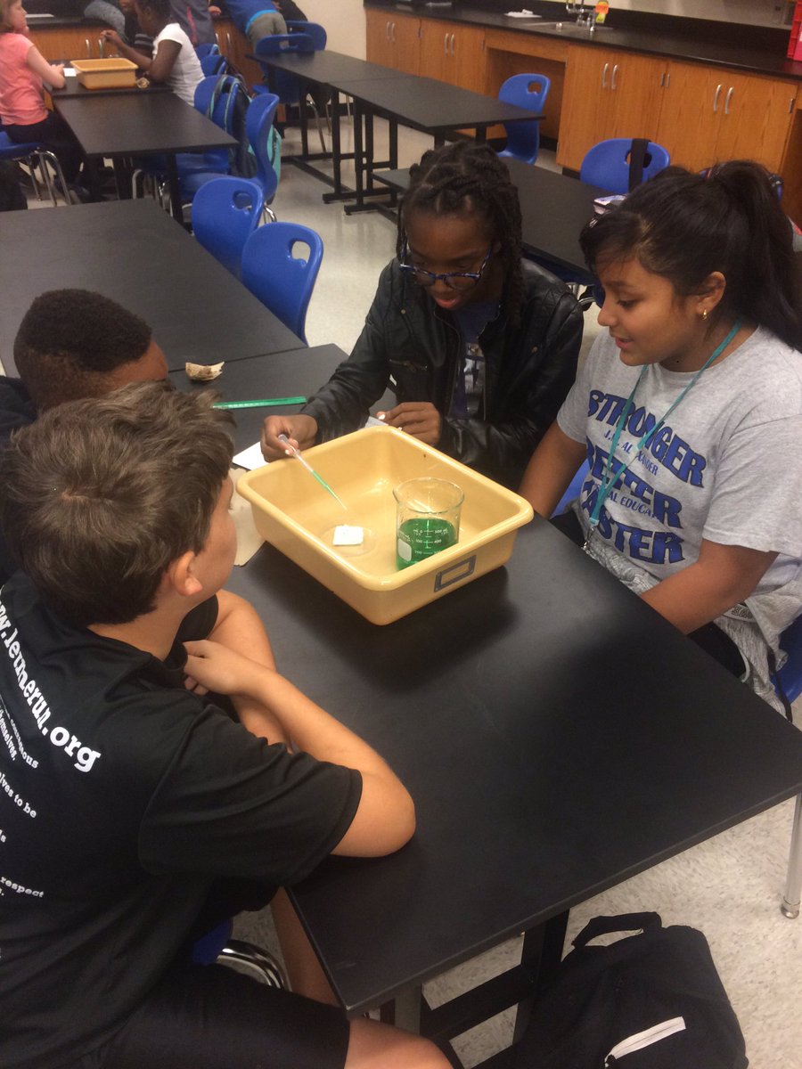 Jm Alexander Middle School on Sale | emergencydentistry.com