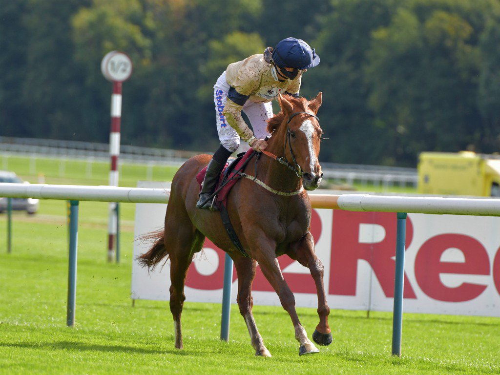 An easy win in the first at Haydock for Kevin Ryan & Tom Eaves with ...