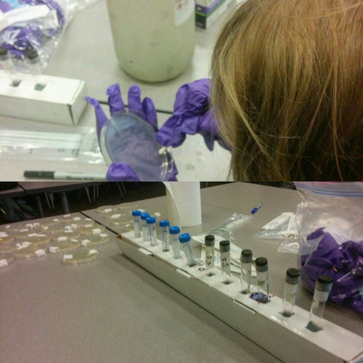 Science Hack Day (@sciencehackday) | Twitter