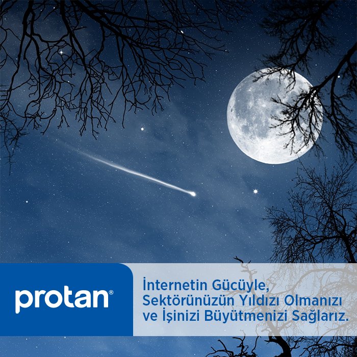 Protan (@Protan) | Twitter