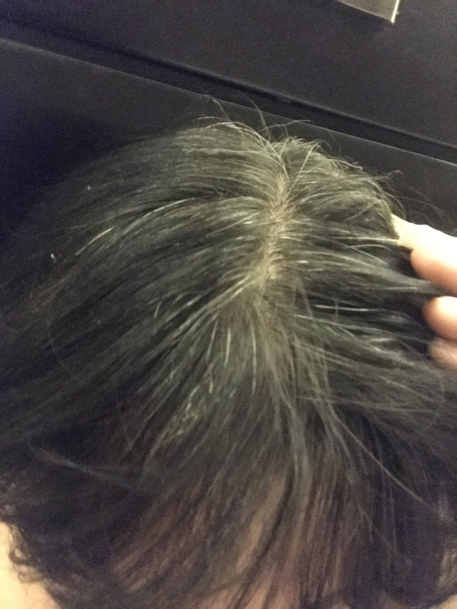 Bailey Jay Balding Official Trailer