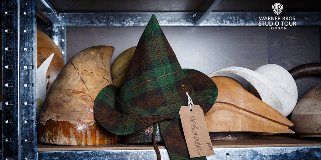 Professor Mcgonagall Hat