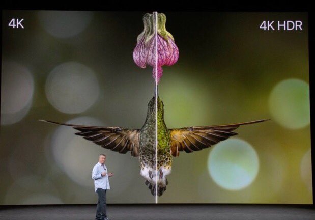 Massimo Tristano (@keebus) | Twitter