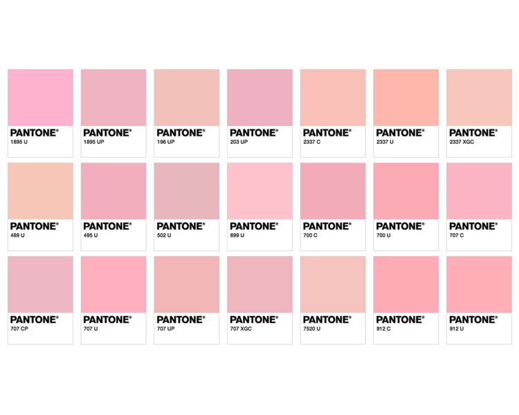 Shades Of Pink Chart