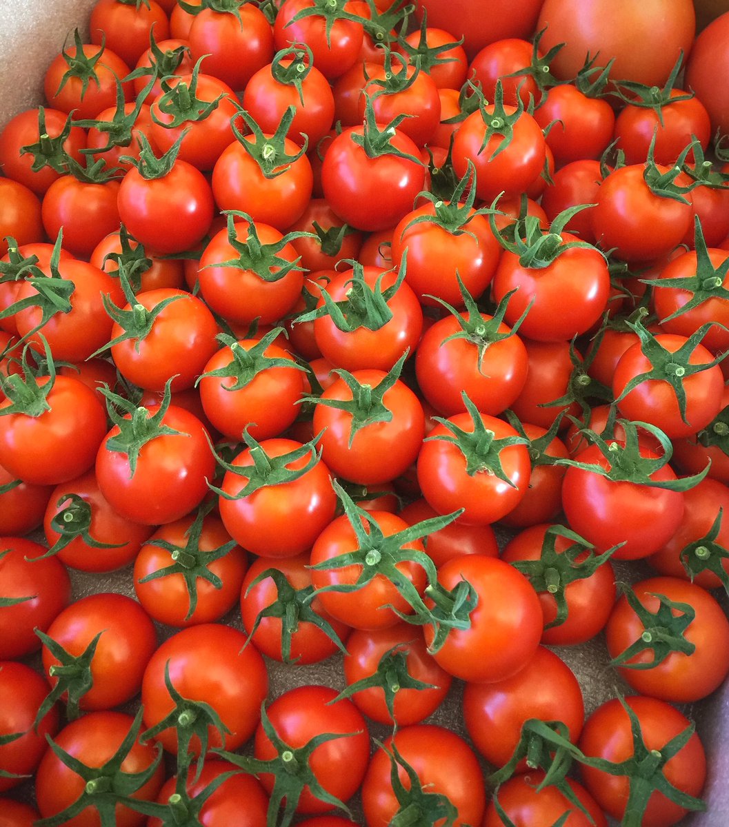 YUCHAN T🍅MAT🍅 (@YUCHAN_Tomato) | Twitter