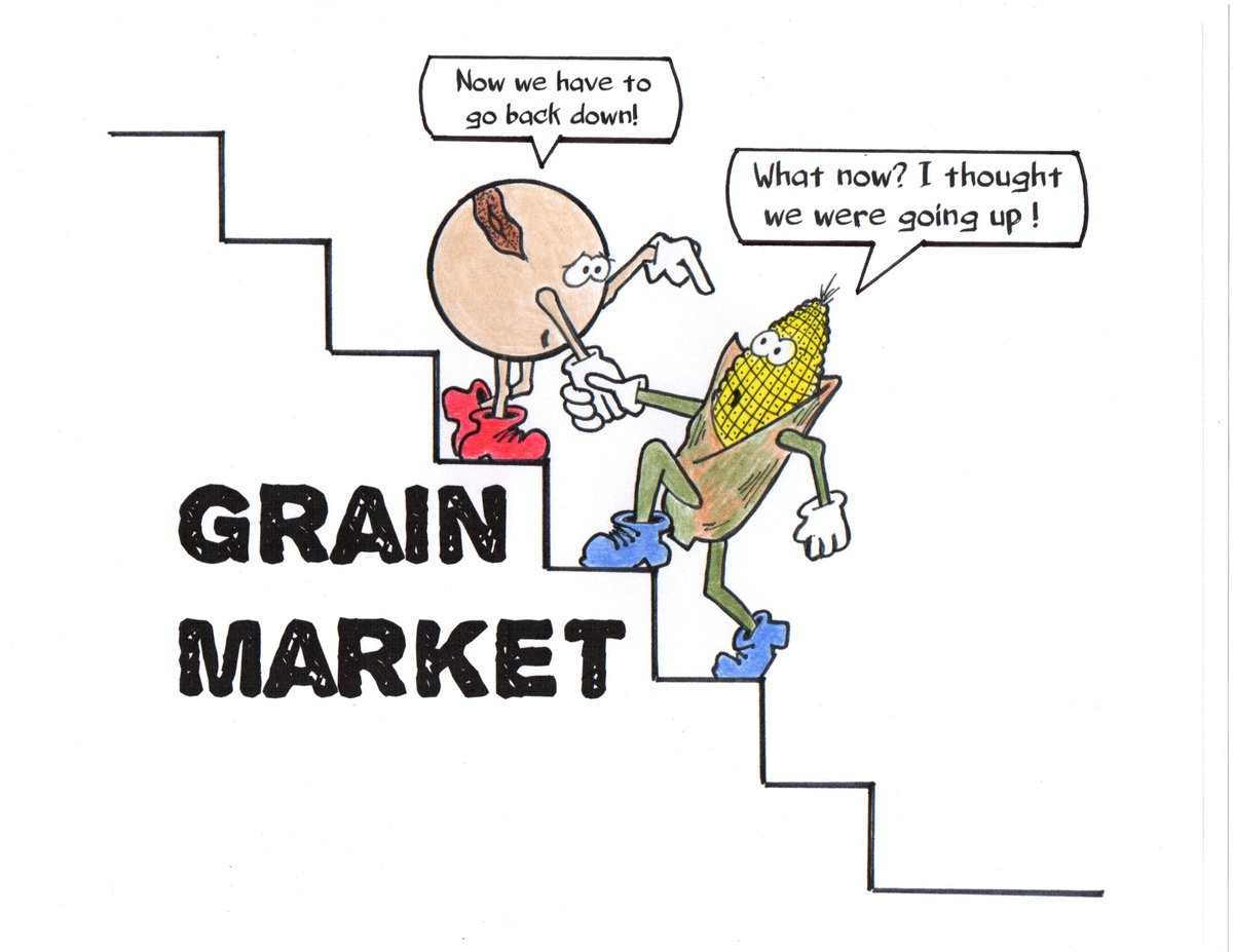 Greg (@optiongreg) | Twitter