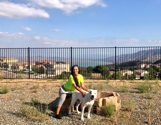 TW Pornstars - ᑕᗷ ♡. The latest pictures and videos from Twitter for ...