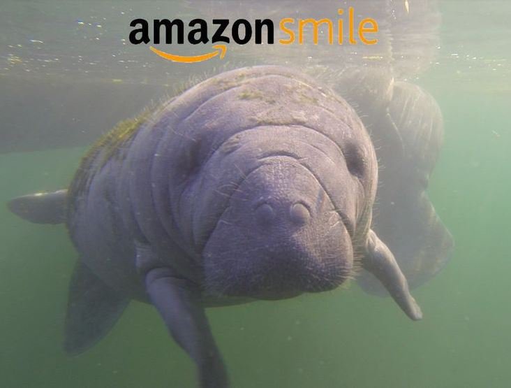 Smiling Manatee