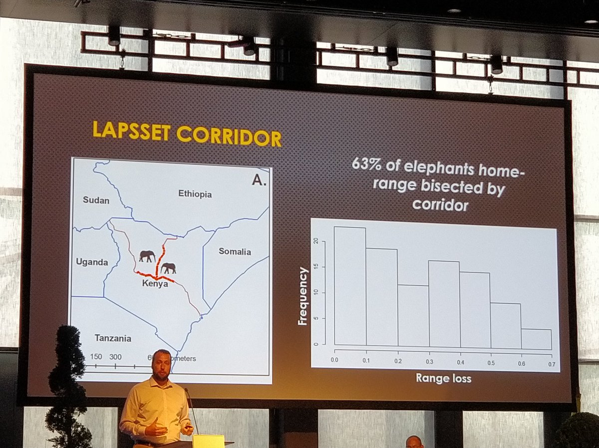 LAPSSET tracking | Page 12 | JamiiForums