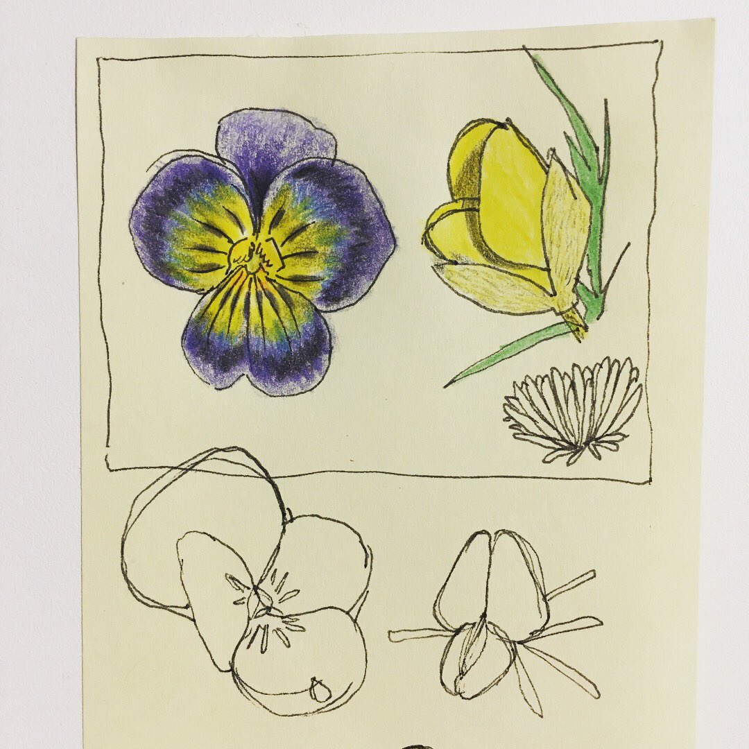 ダンデ「Train delays = doodle times ft the dnd s」Liannの漫画