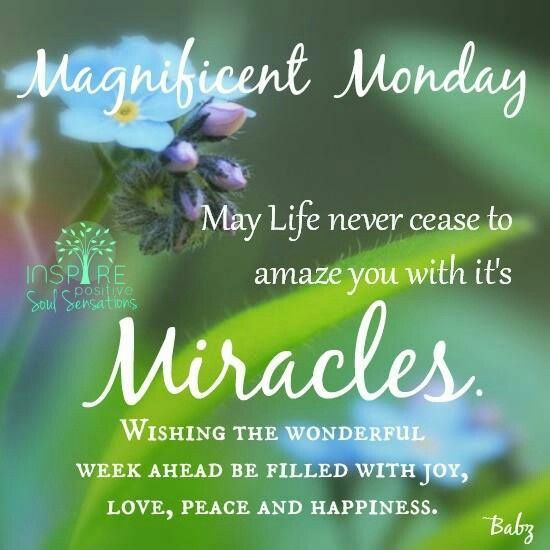 Have A Marvelous Monday