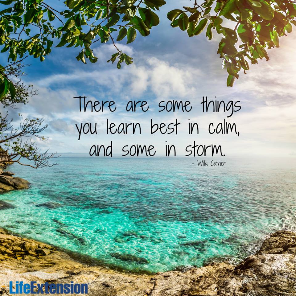 There's always a lesson to learn. be receptive to it and receive its ...