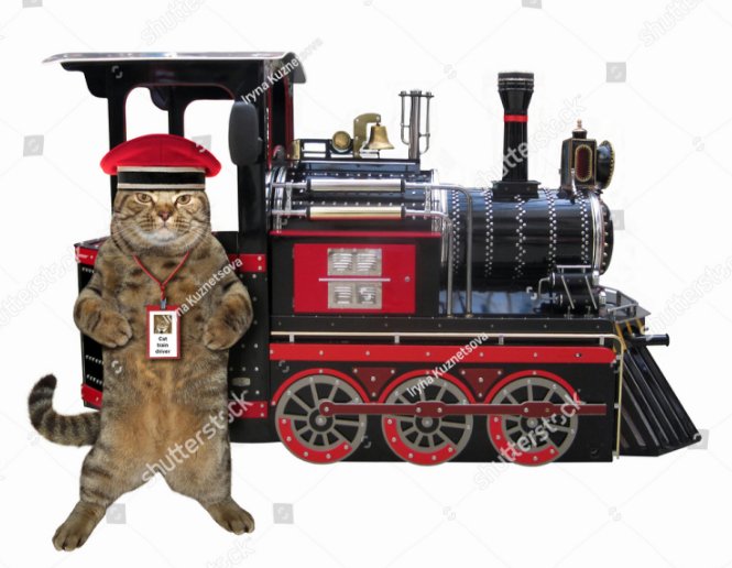 Cat Riding A Train