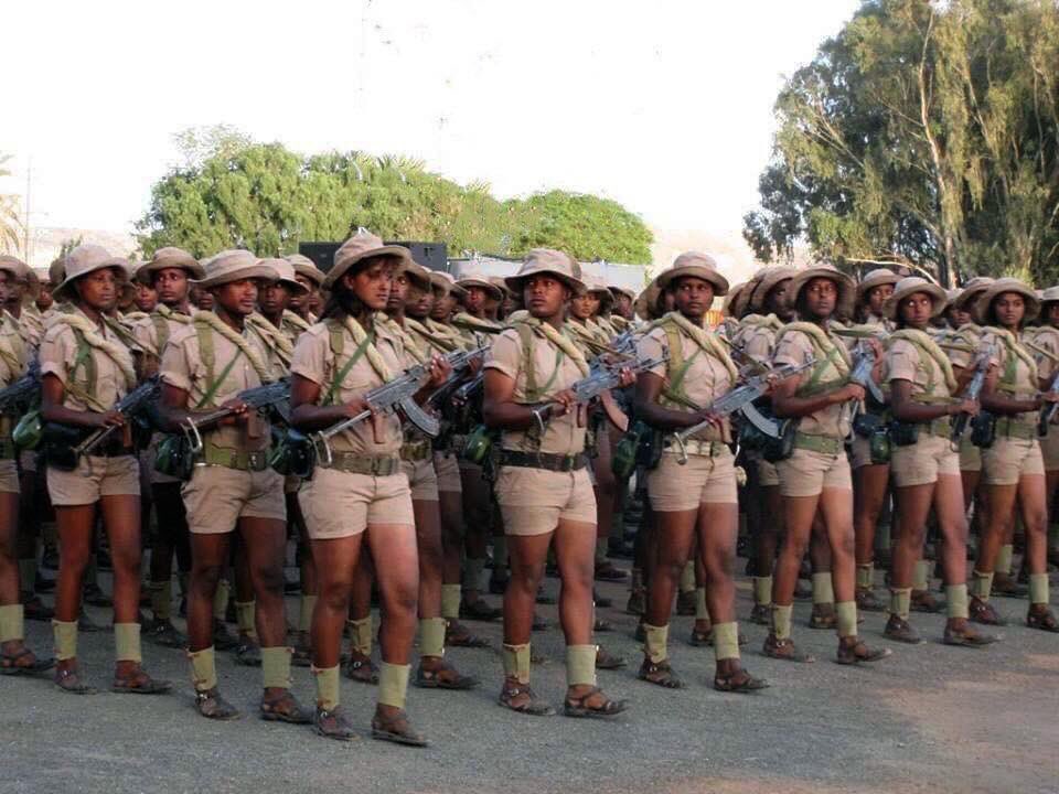 E D F ሓ ም ኤ ደጀን On Twitter Quarter Of The Fighters In The Eritrea