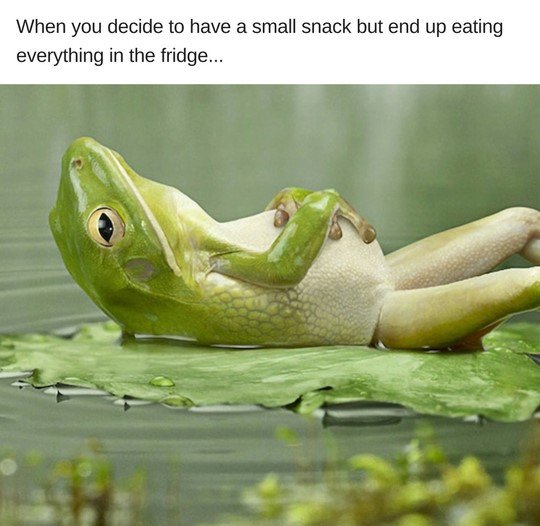 Mood Food Memes 30+ Food Memes To Binge Before Your New Years Diet