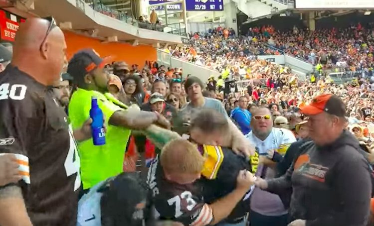 Great NFL Fan Fights From The 2017 Season