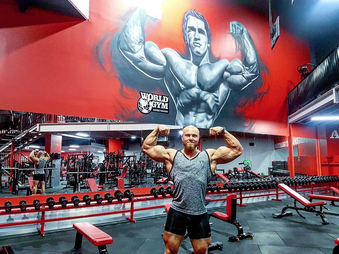 World Gym Logo Vector