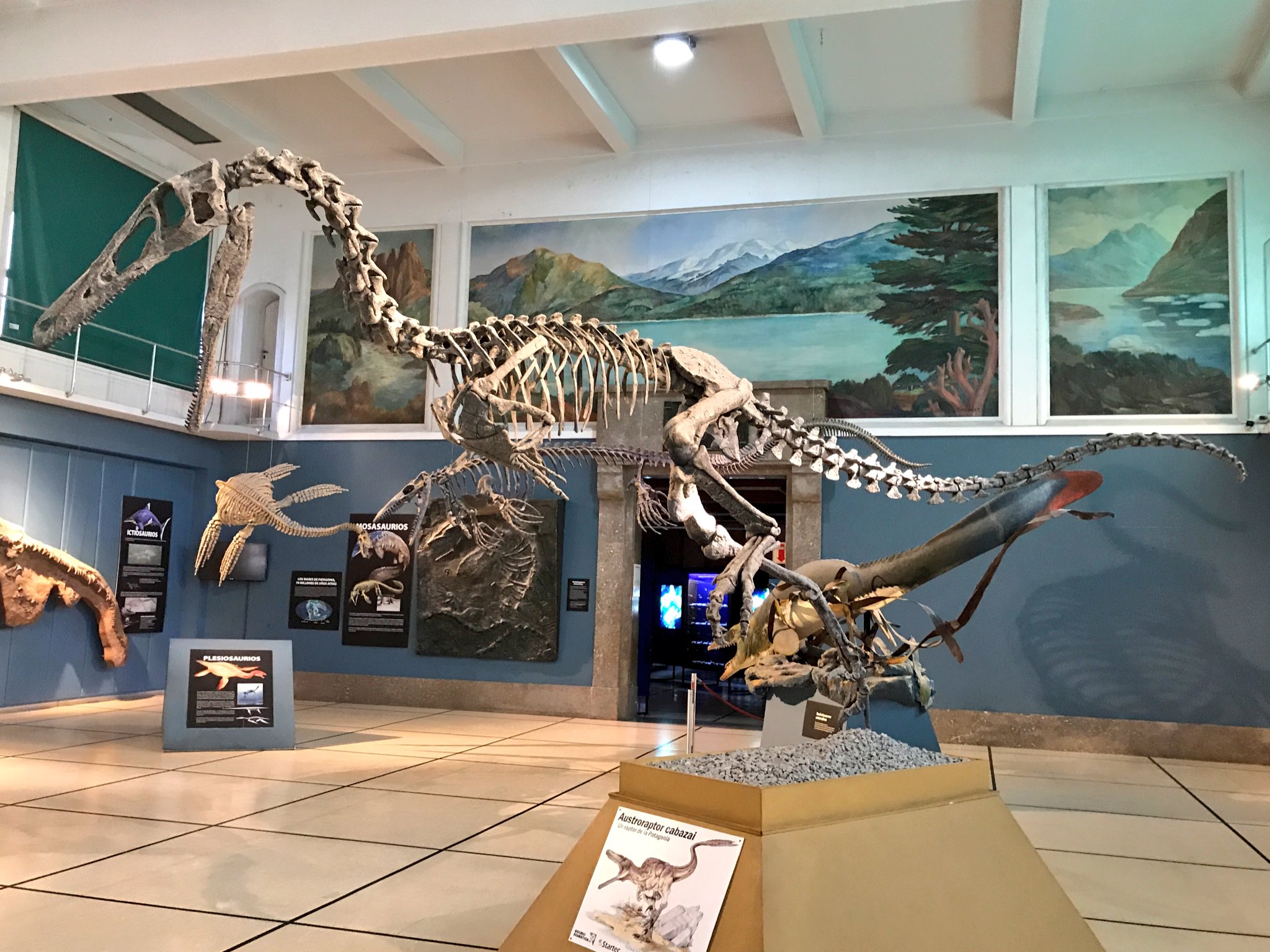 Austroraptor Skeleton