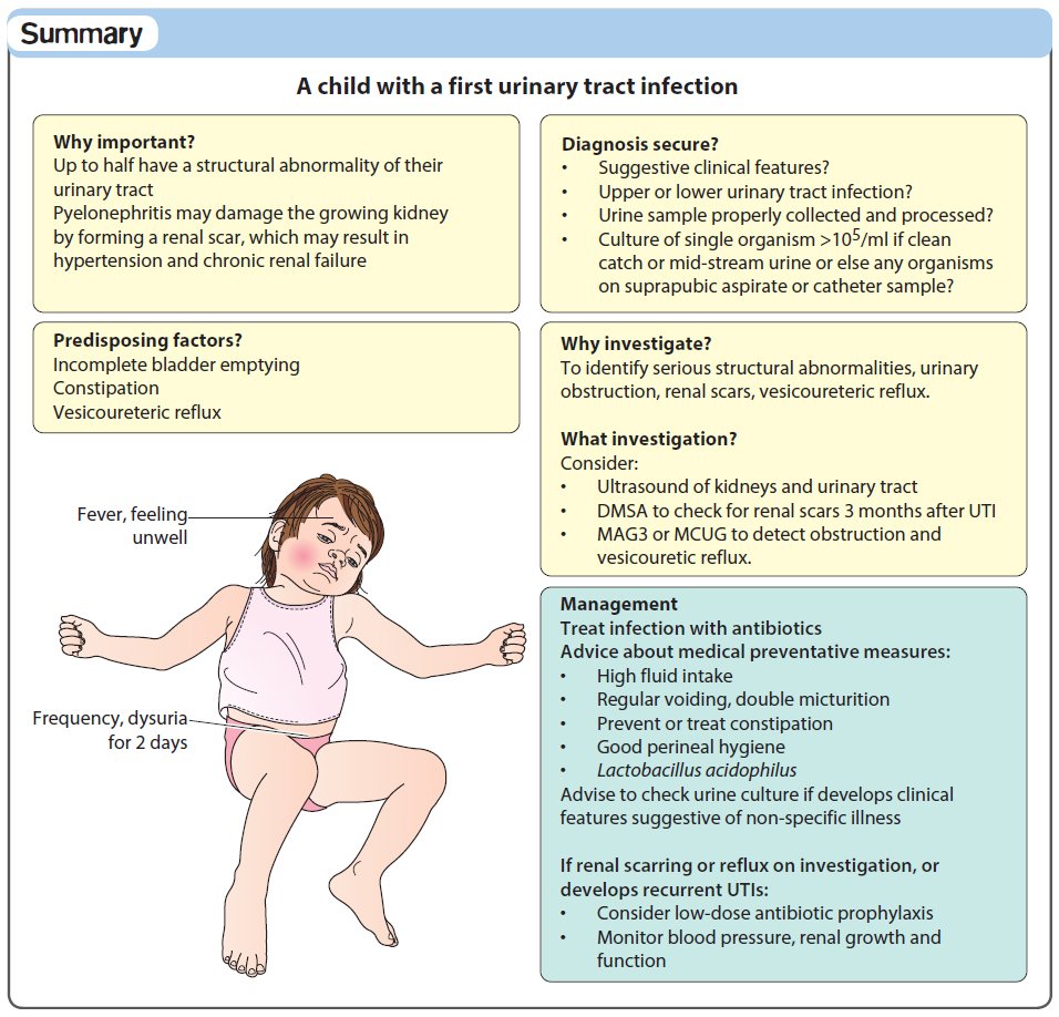 Urinary Tract Infection In Children