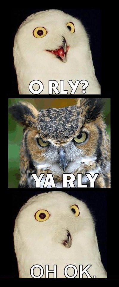Oh Really Owl