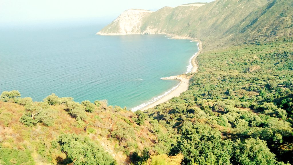 ja823258 @gmail Com (@ja823258) | Twitter