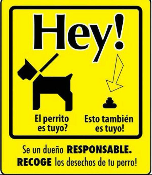 Perro Caca-Usted Scoop Calcomanía perro mascota no limpiar elegir ...