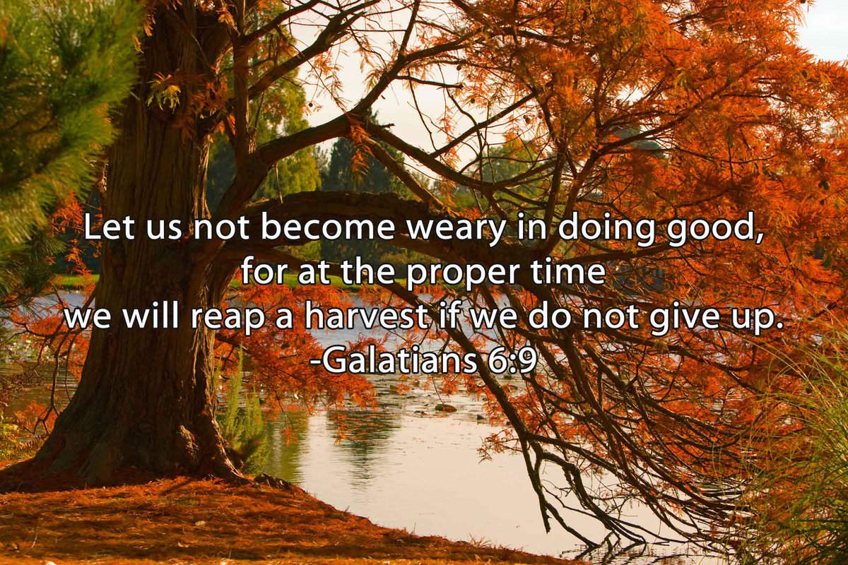 Fall Sunday Blessings