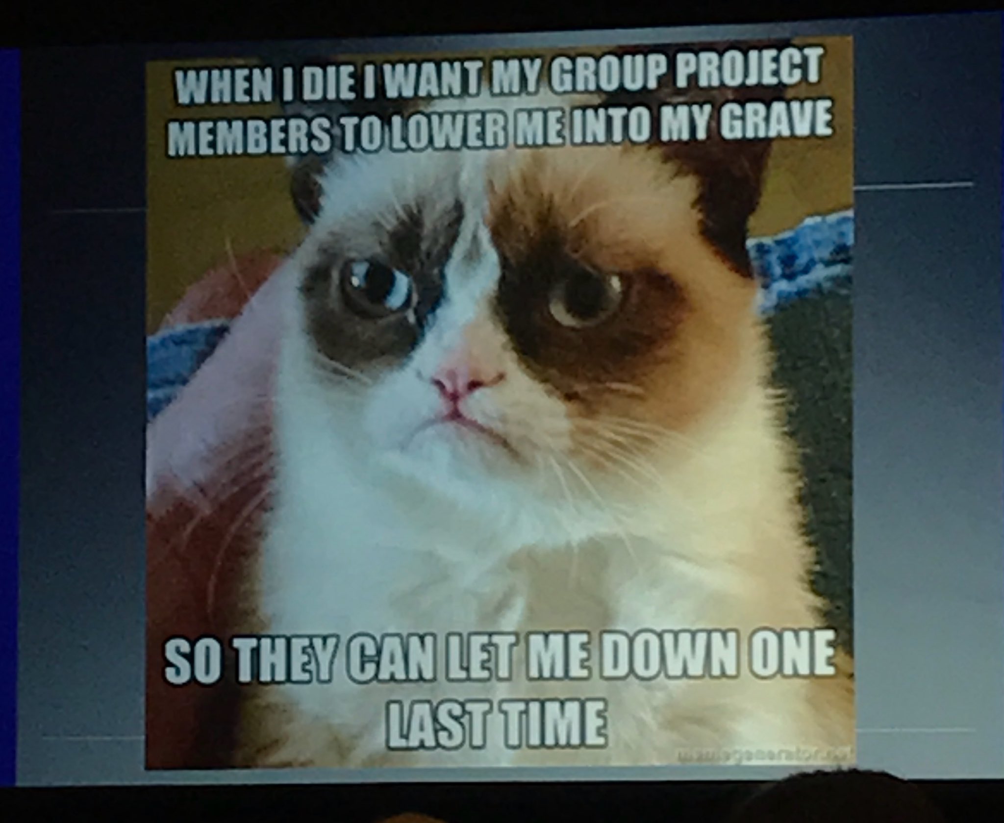 Grumpy Cat Work
