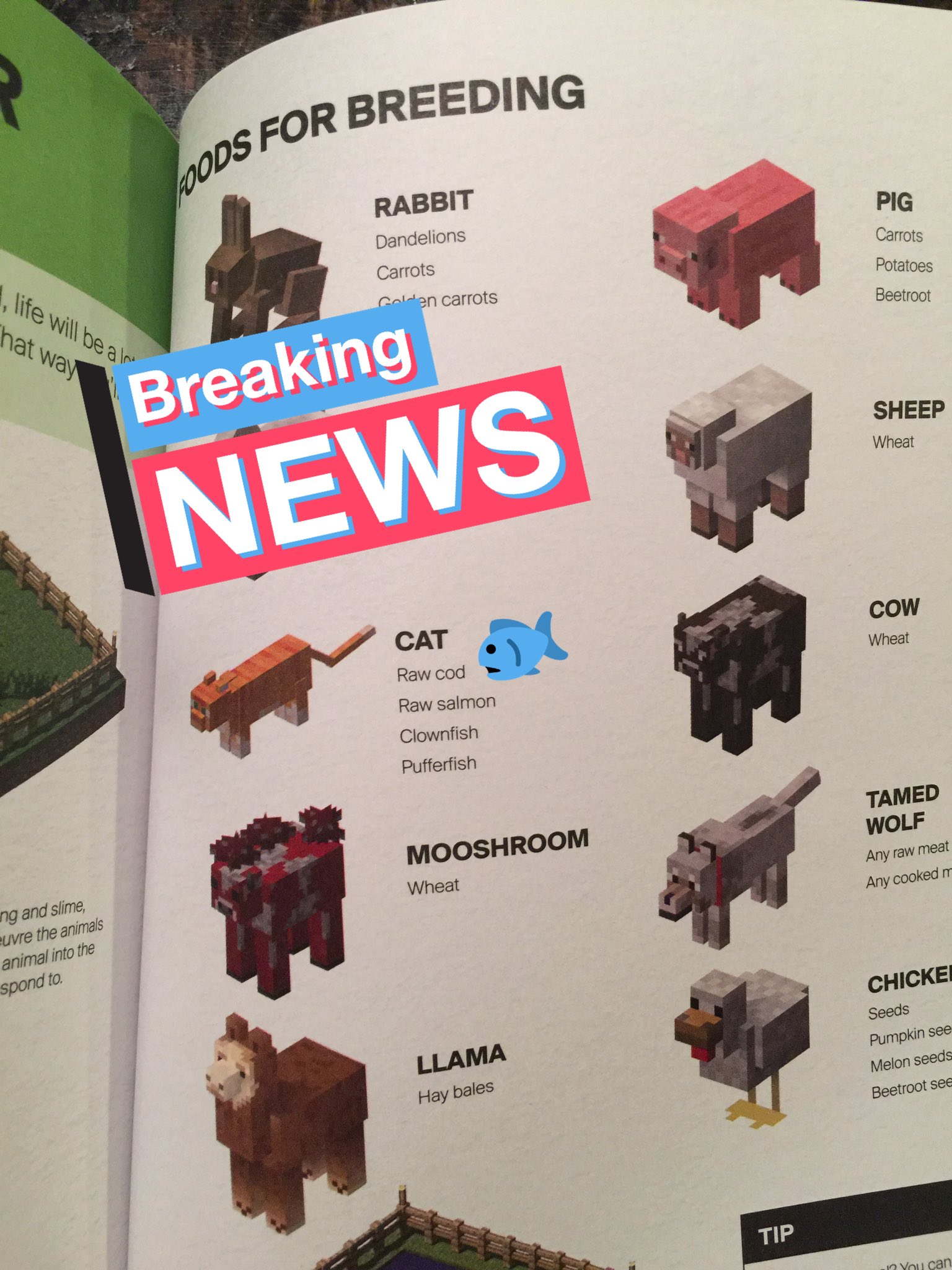 Cooked Fish Minecraft