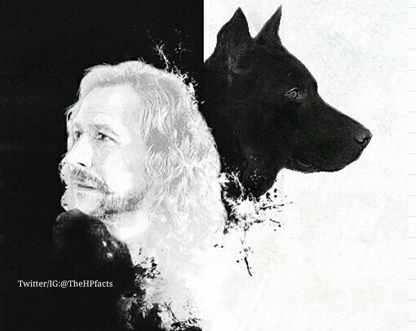 Animagus Sirius Black