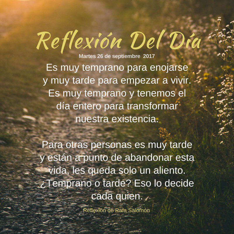 Reflexion Del Dia