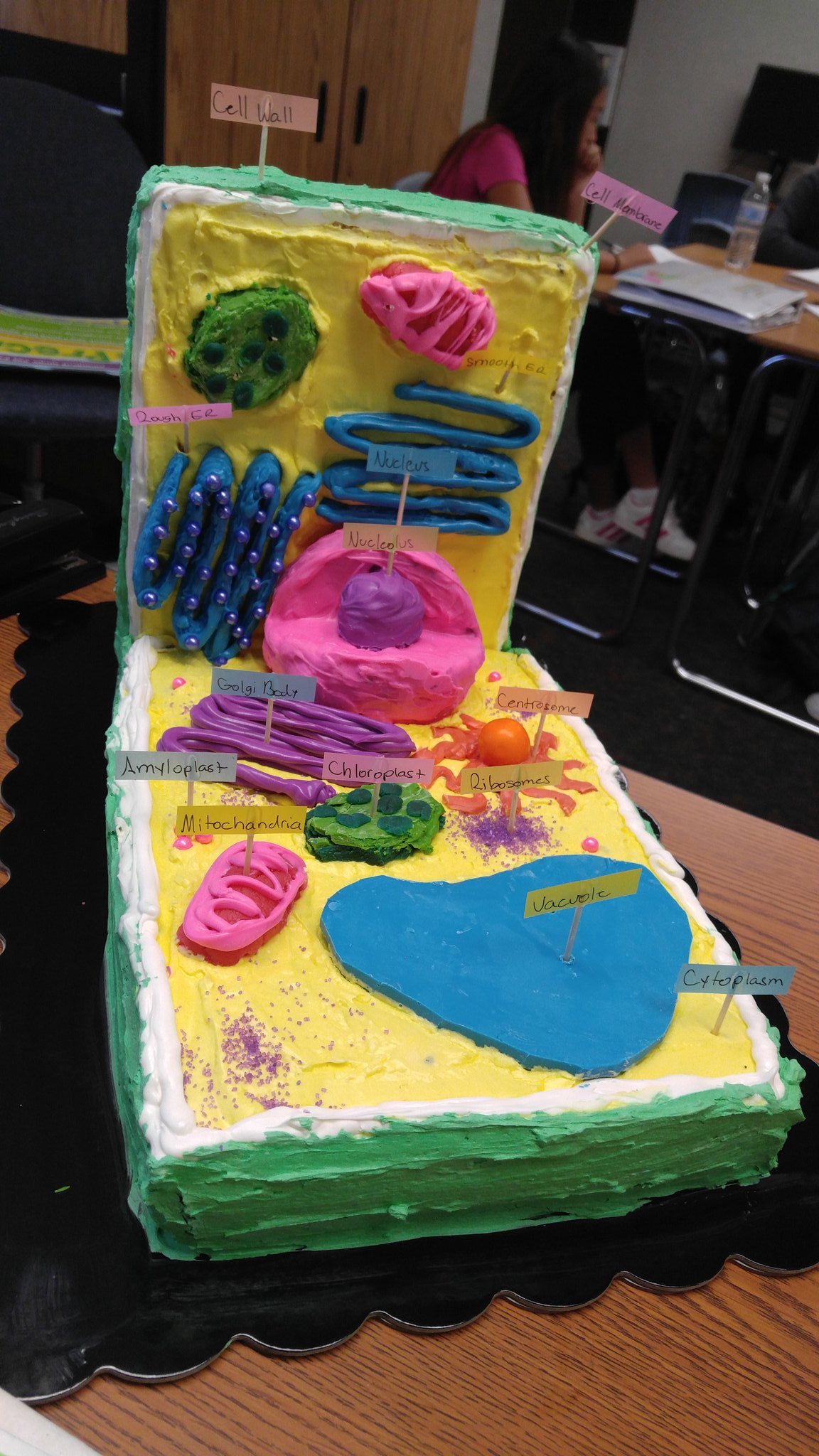 Plant Cell Model Cake Labeled