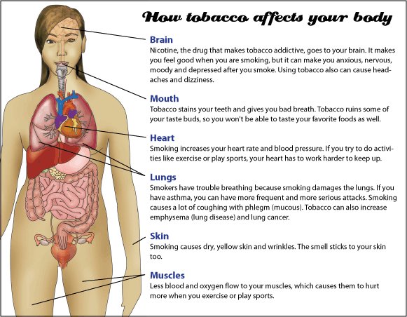 Harmful Smoking Effects