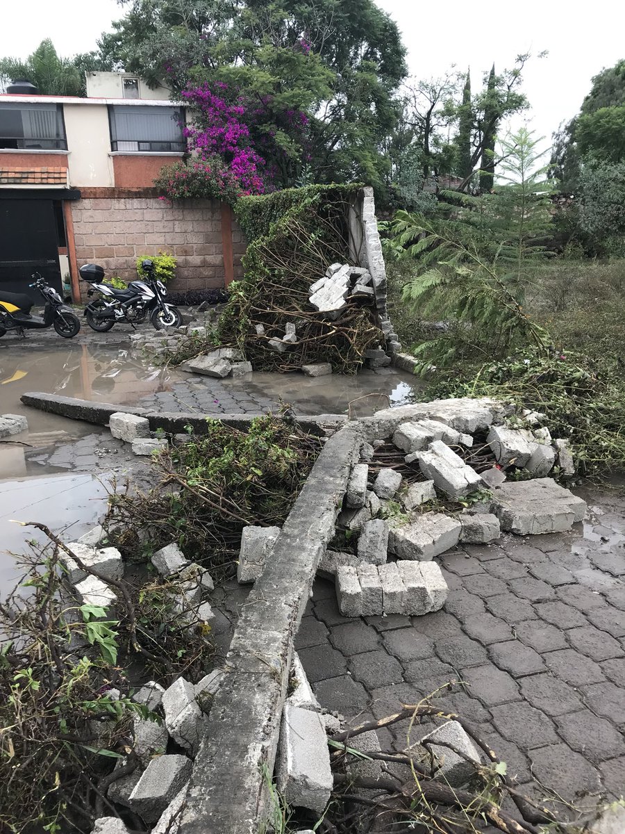 Fernando Plata (@fernandoplata) | Twitter