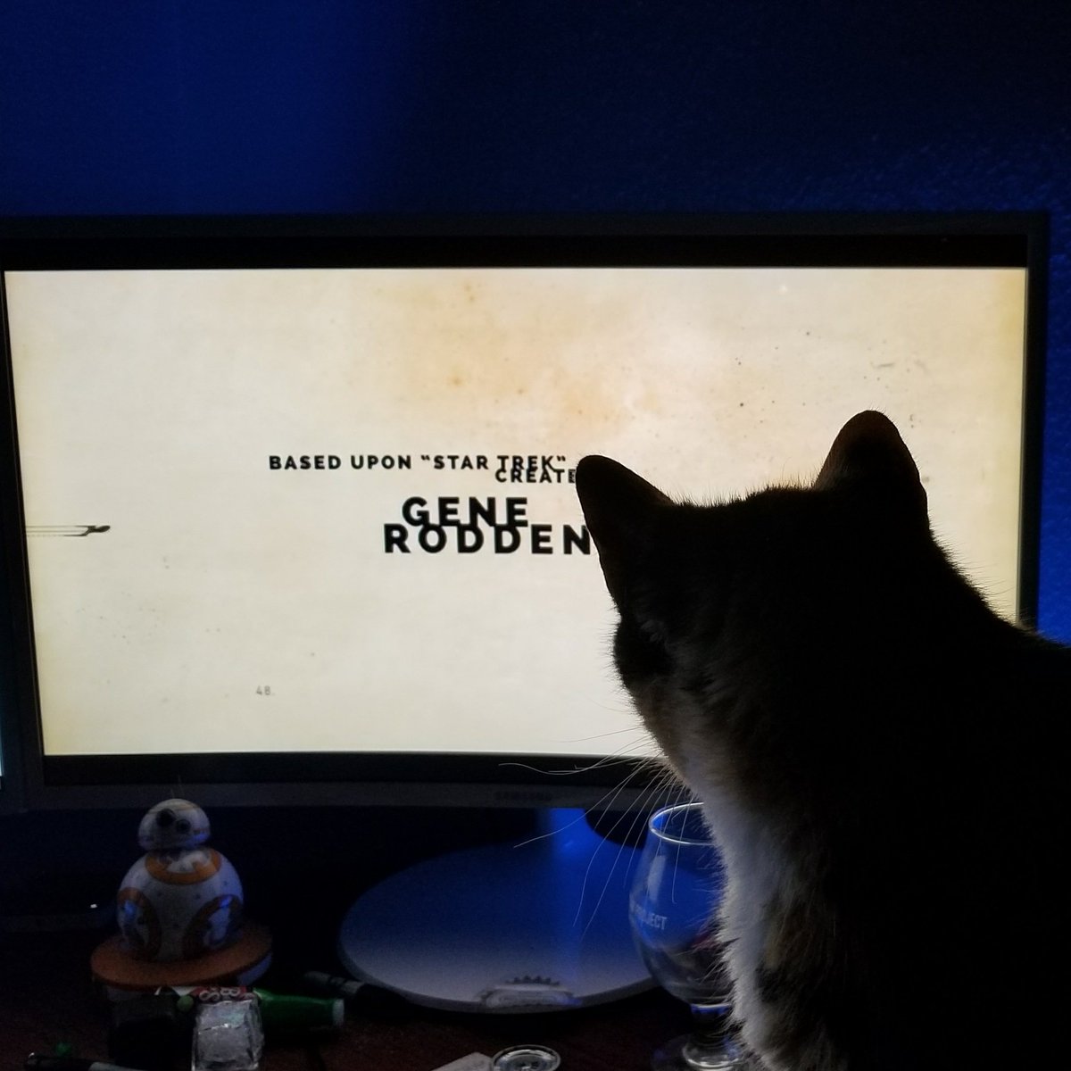 This is Spot (named after Data's cat from Star Trek: The Next ...