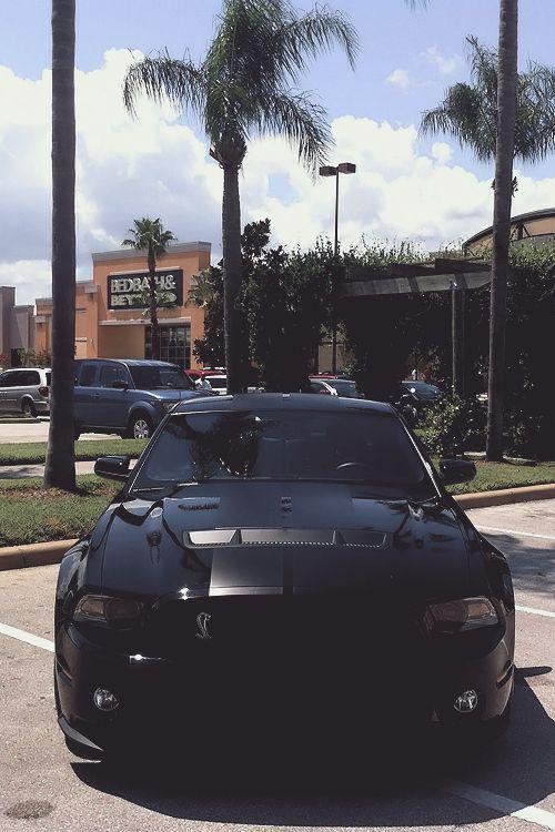 Tumblr Mustang