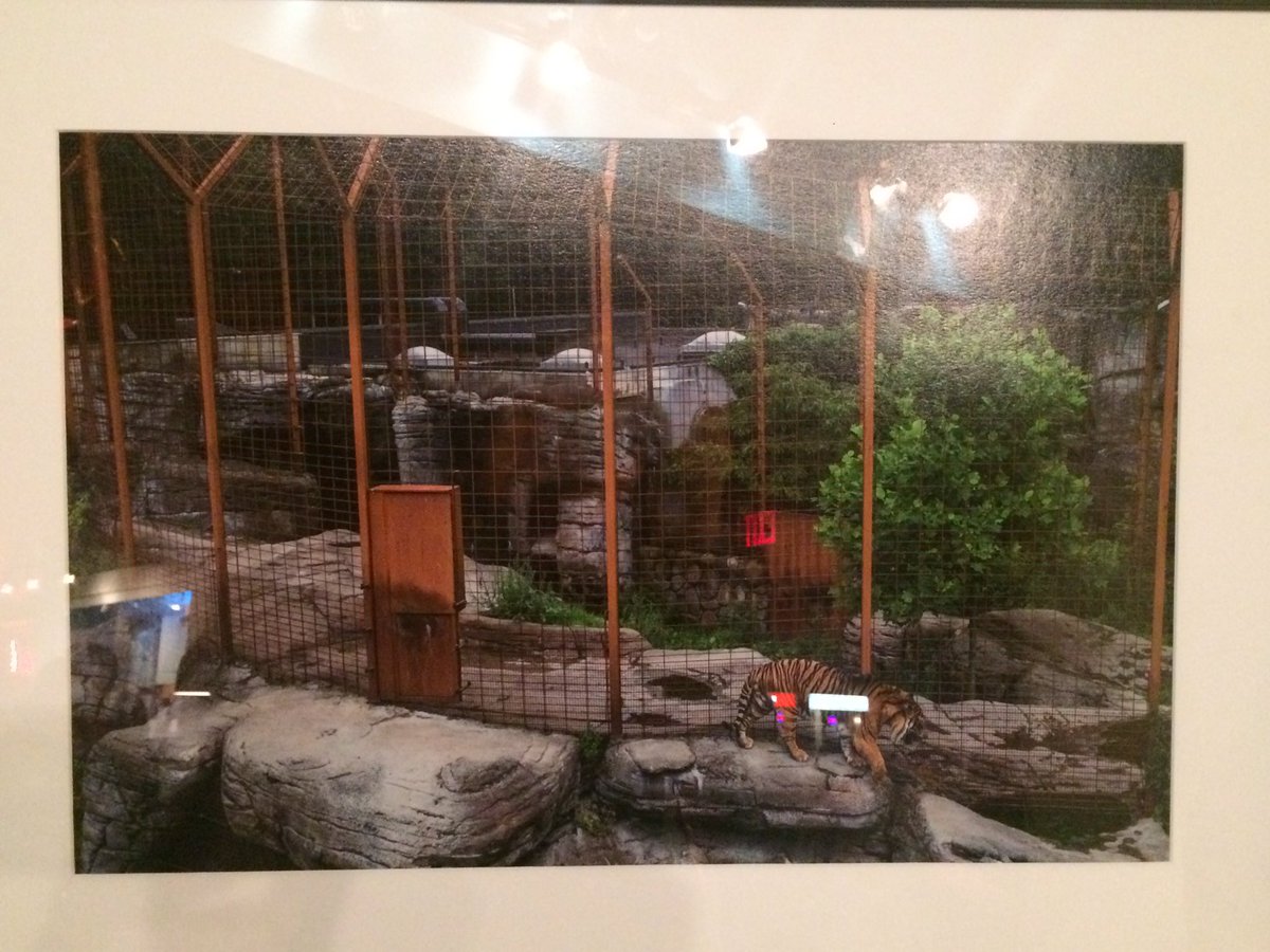 Katherine Lissitsa (@katlissitsa) | Twitter