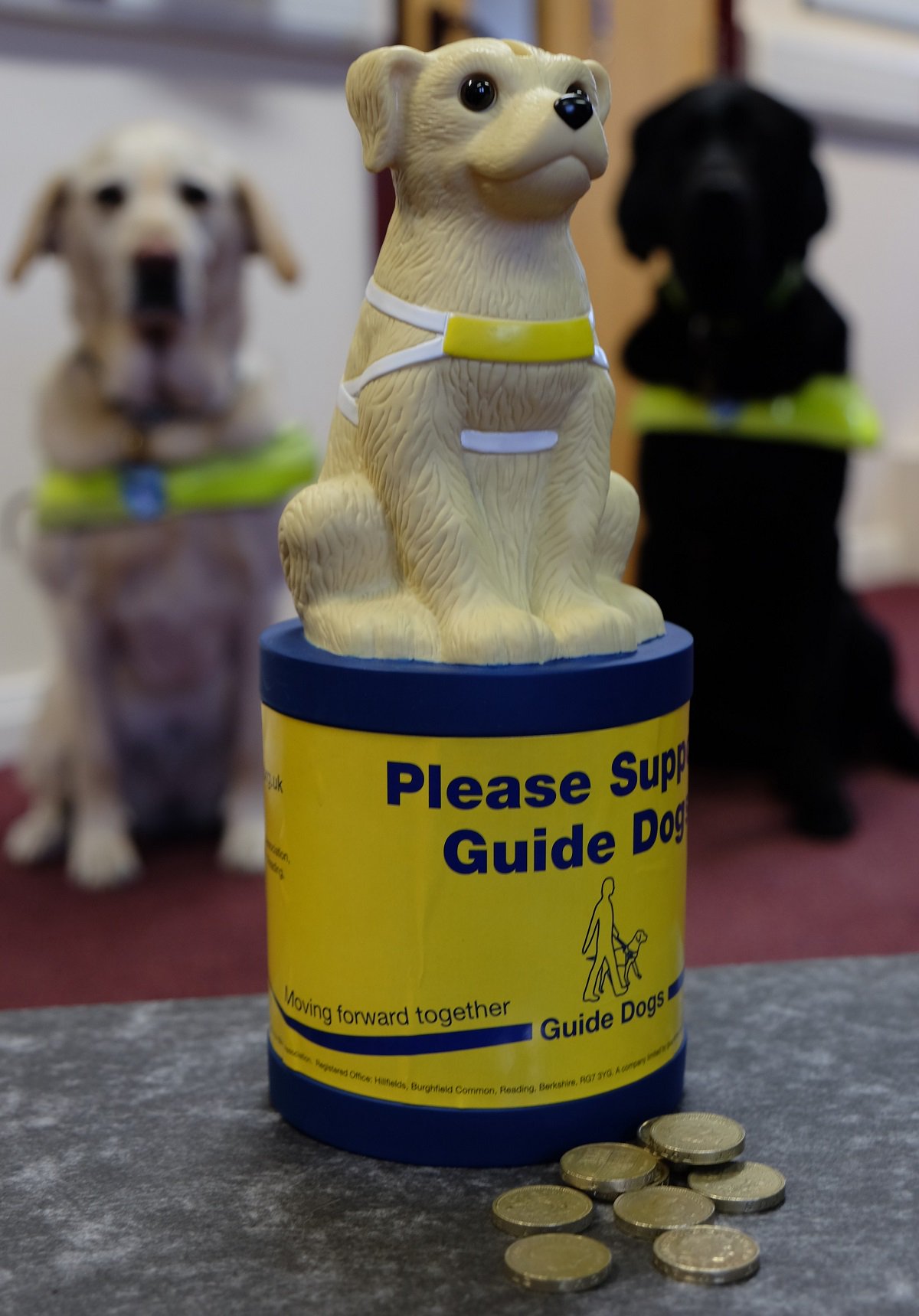 Do Guide Dogs Cost Money