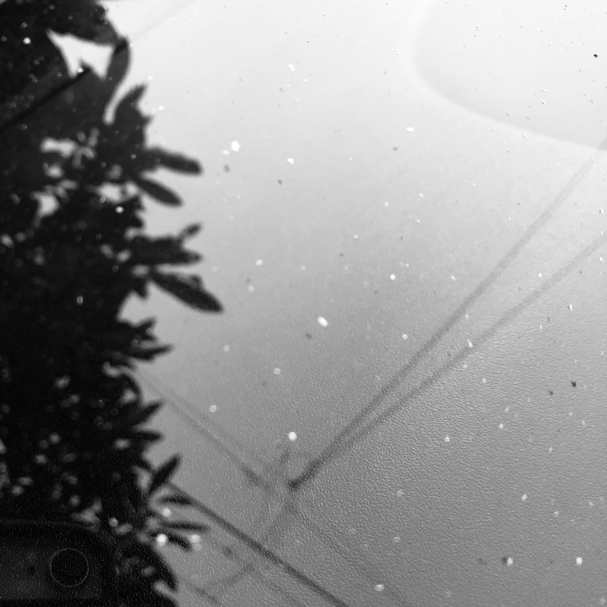 Ashes Falling From The Sky
