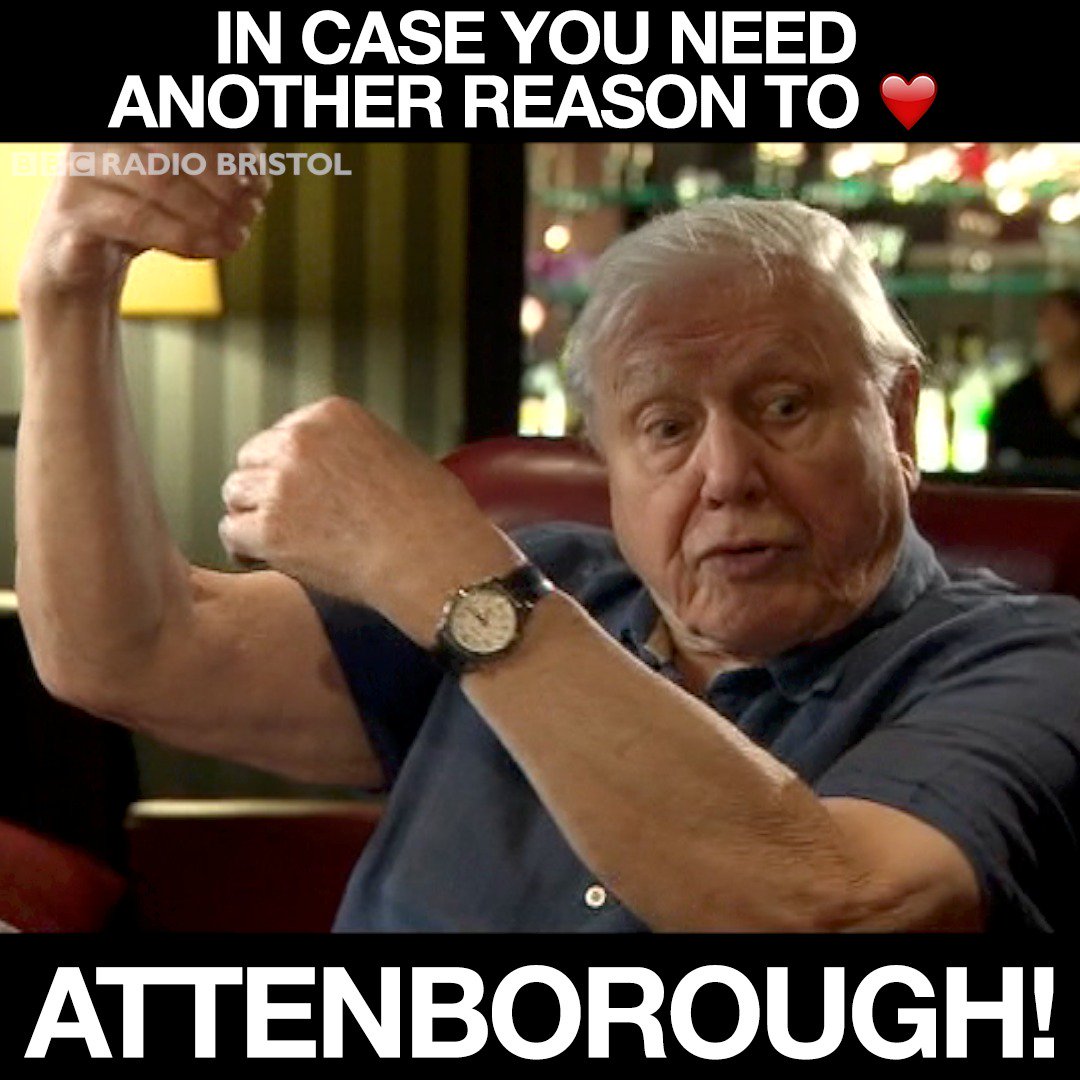 David Attenborough Memes David Attenborough Memes And Images Imgur