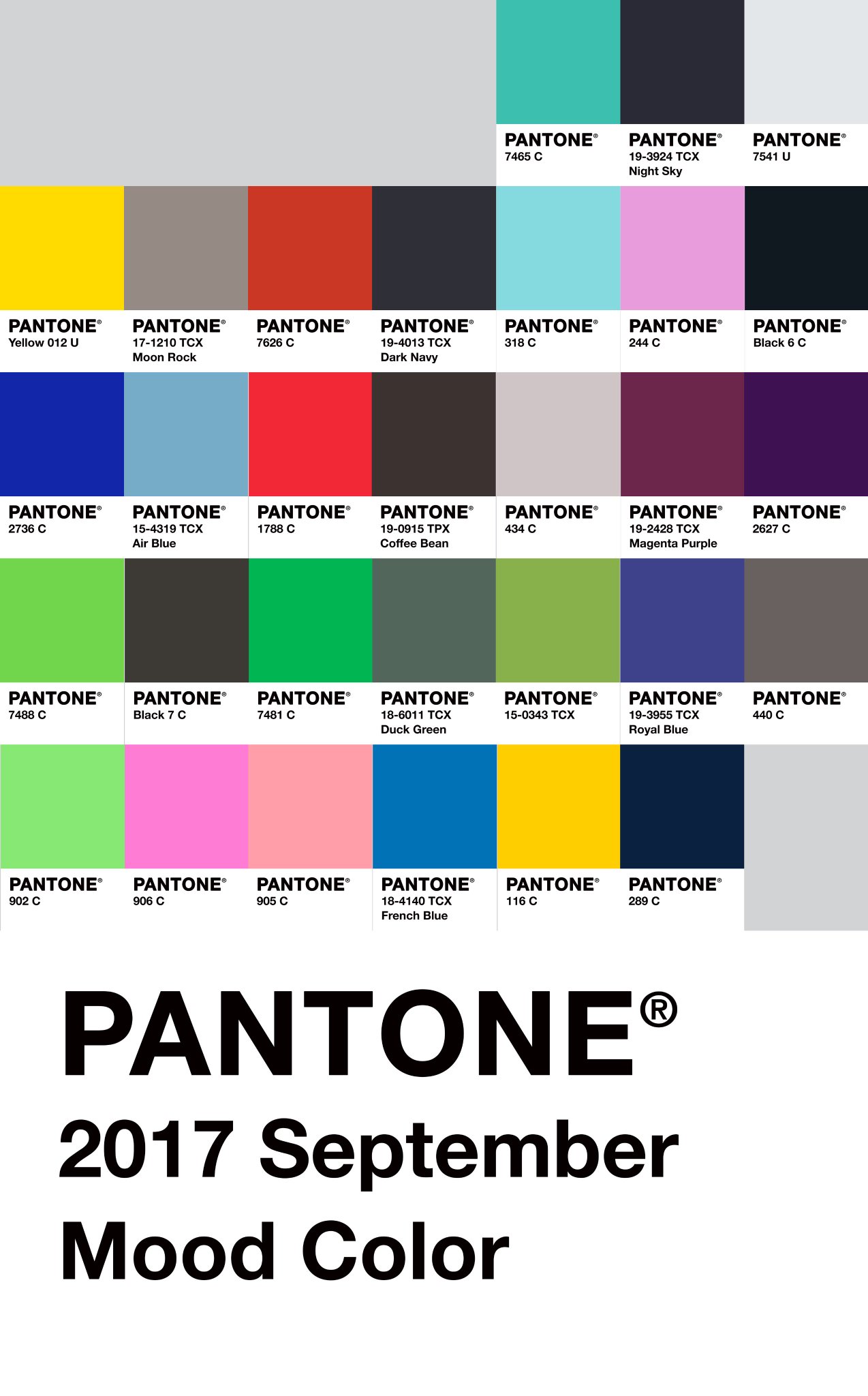Pantone Royal Blue 19 3955