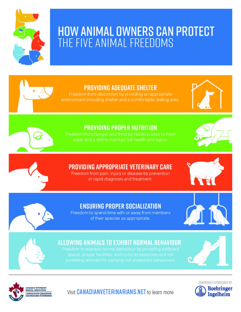 Cdn Animal Health On Twitter October 1 7 Is AnimalHealthWeek Animal Welfare Safeguarding cdn-animal-health-on-twitter-october-1-7-is-animalhealthweek-animal-welfare-safeguarding