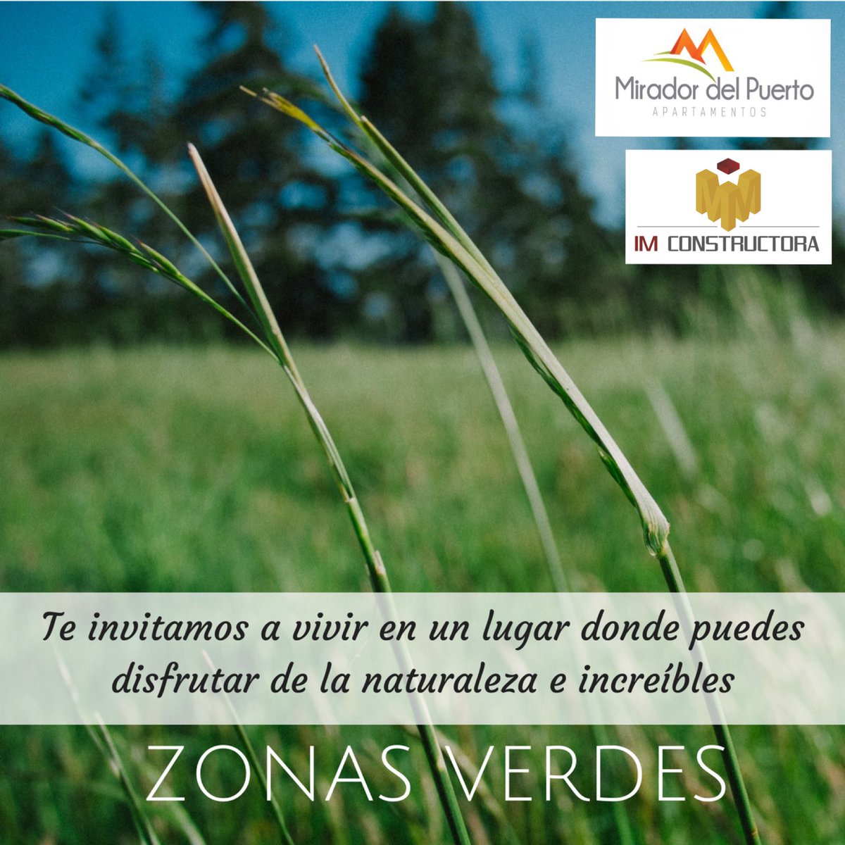 IM CONSTRUCTORA (@ImConstructora) | Twitter